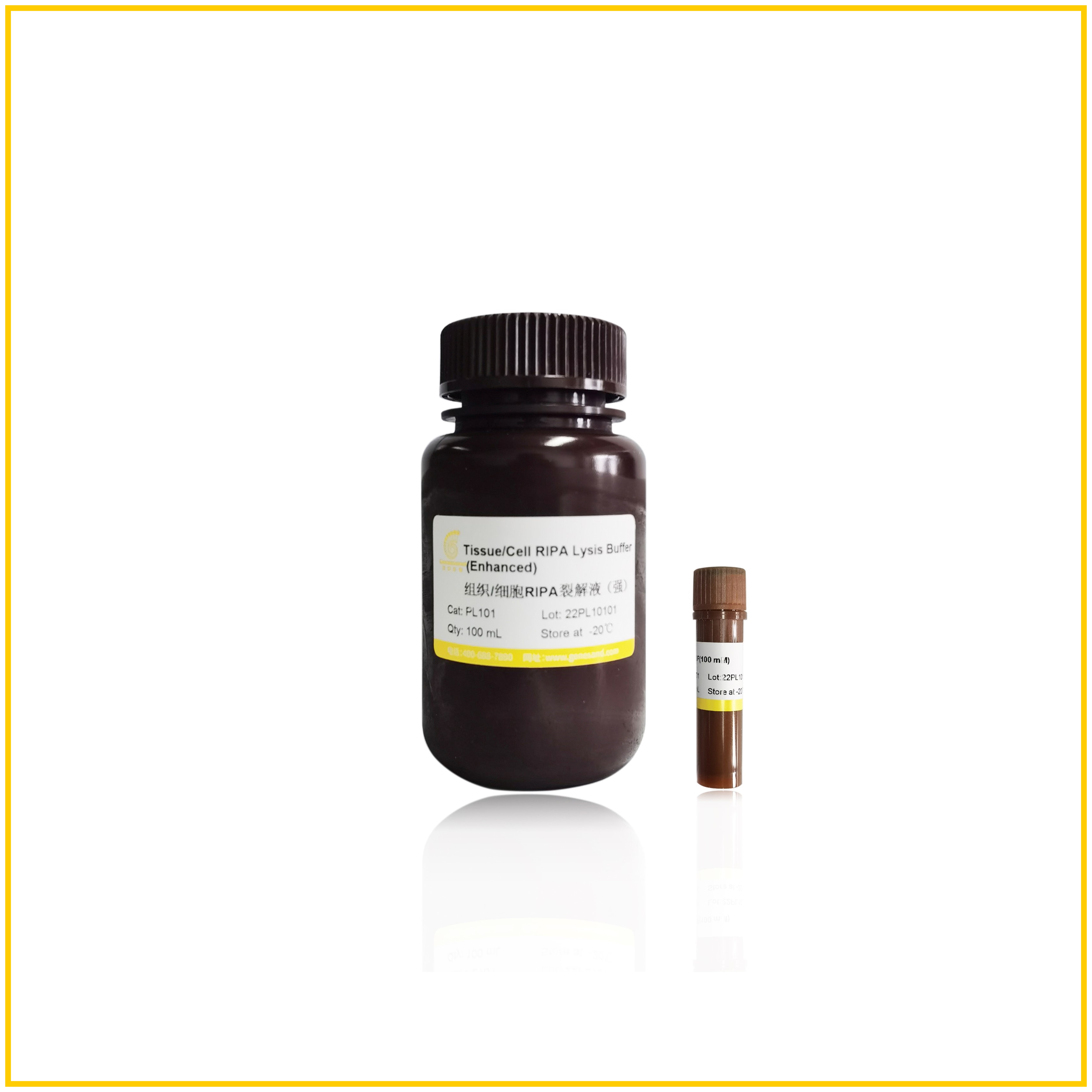 Tissue Cell RIPA Lysis Buffer Enhanced PL101 