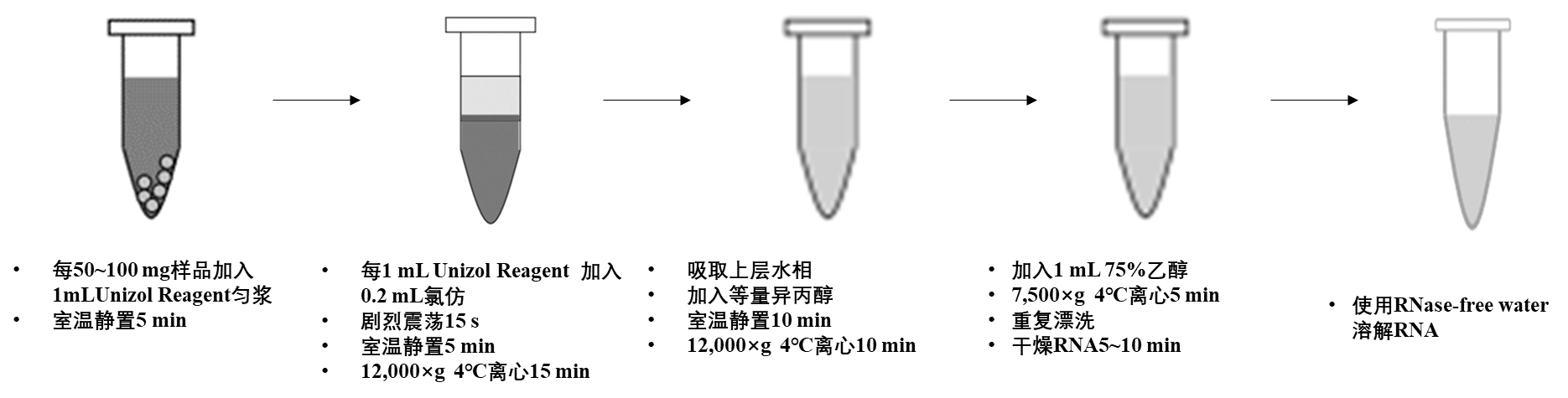 总RNA提取试剂 TRIZOL(RE703)