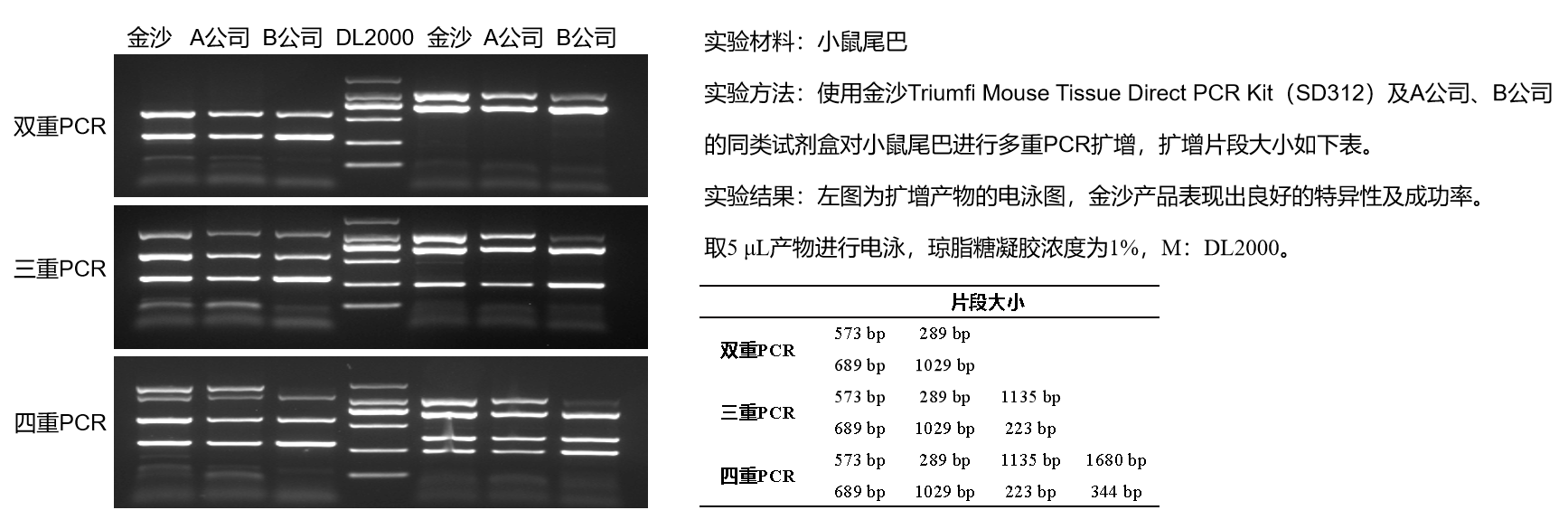 Triumfi Mouse Tissue Direct PCR Kit 直接扩增PCR (SD312)